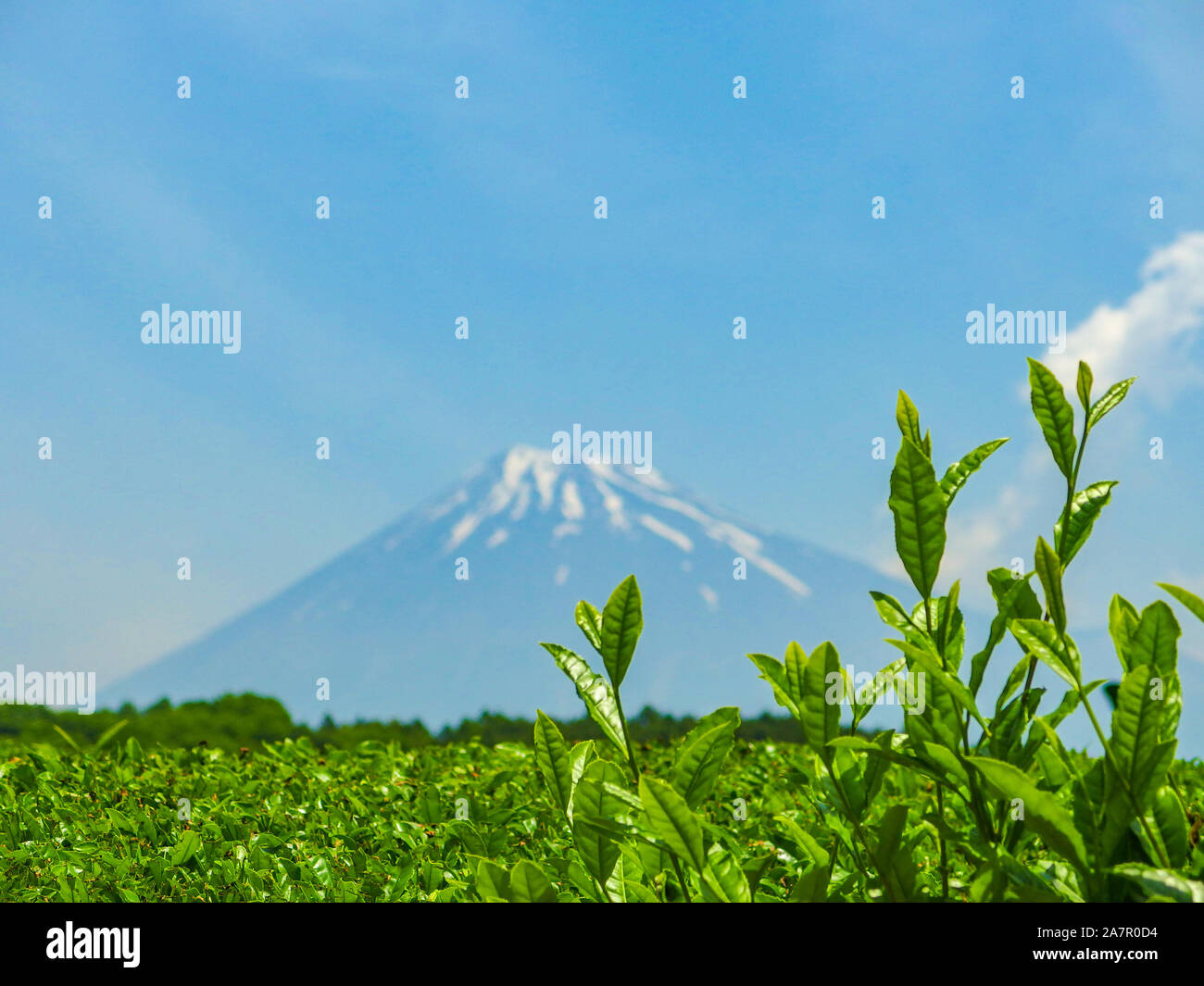 Japan farming traditional hi-res stock photography and images - Alamy