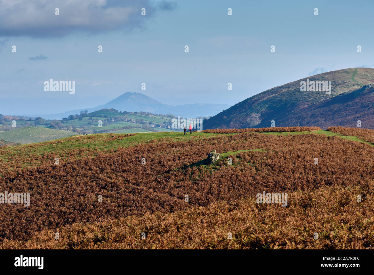 Walkers on Ragleth Hill, Church Stretton, Shropshire Stock Photo - Alamy