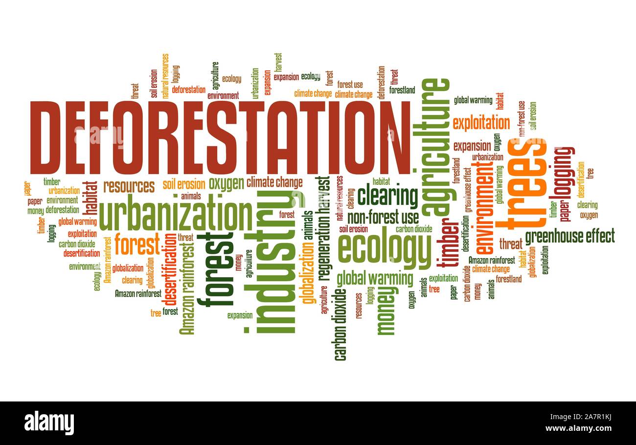 Deforestation word cloud. Urbanization and environment exploitation ...