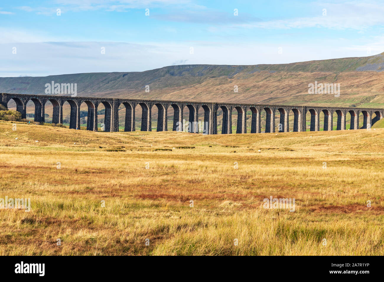 Ribblehead viaduct hi-res stock photography and images - Alamy