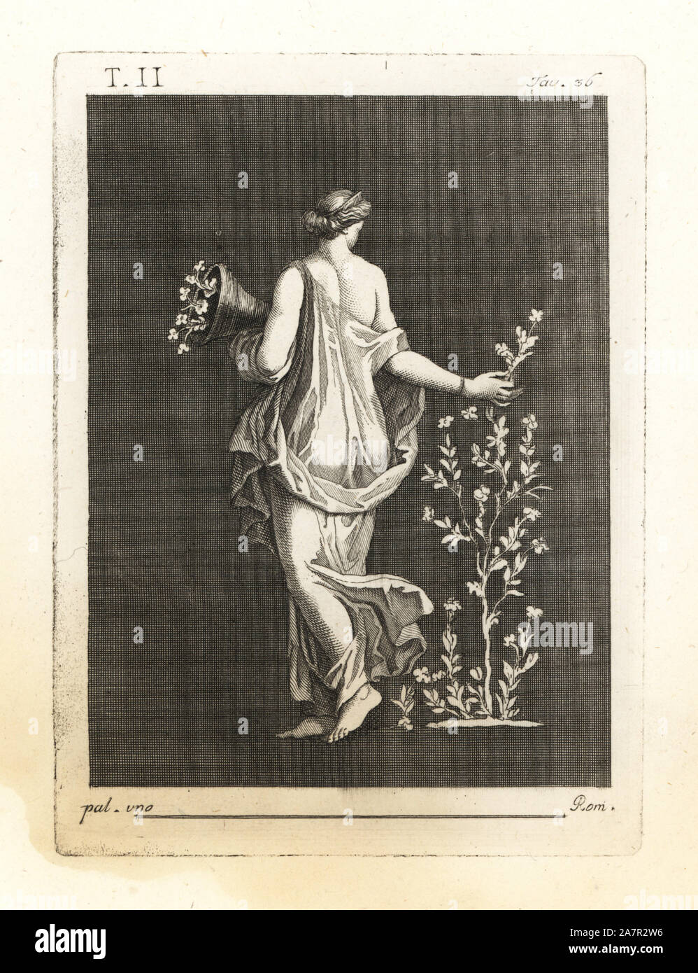 Zephyrus hi-res stock photography and images - Alamy