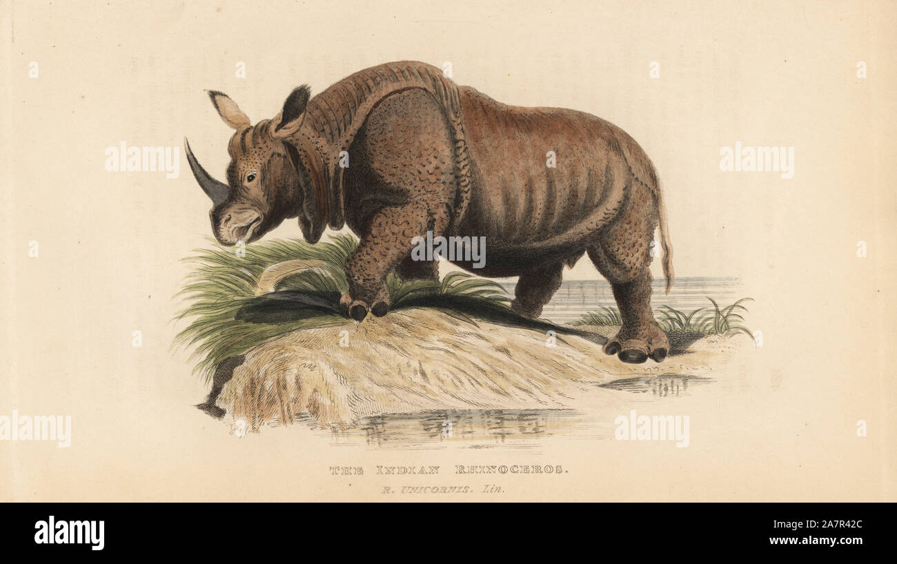 Harriet Griffith High Resolution Stock Photography and Images - Alamy