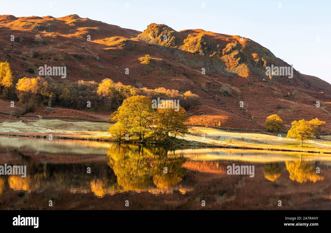 Golden Autumn reflections on Rydal Water in the Lake District, Cumbria ...