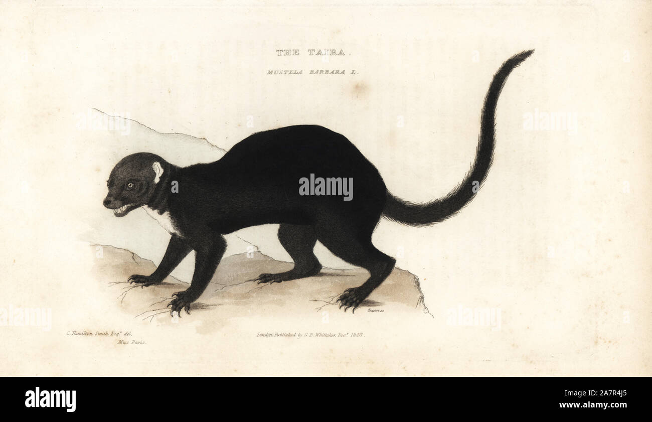 Barbara smith hi-res stock photography and images - Alamy