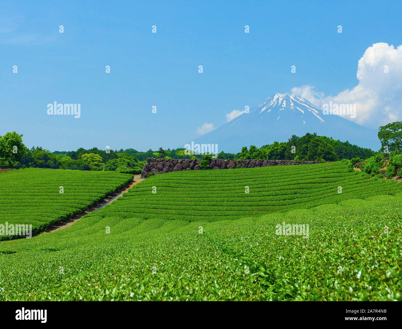 Japan organic farm hi-res stock photography and images - Alamy