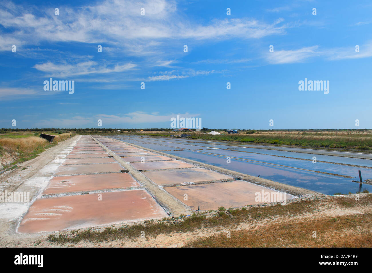 Ile de Re salt lakes in landscape Stock Photo - Alamy