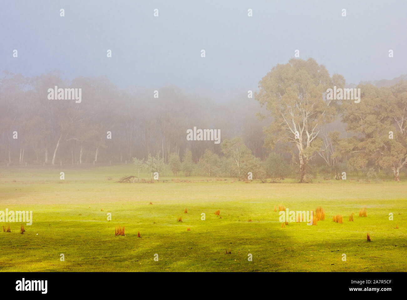 Muckleford nature conservation reserve hi-res stock photography and ...