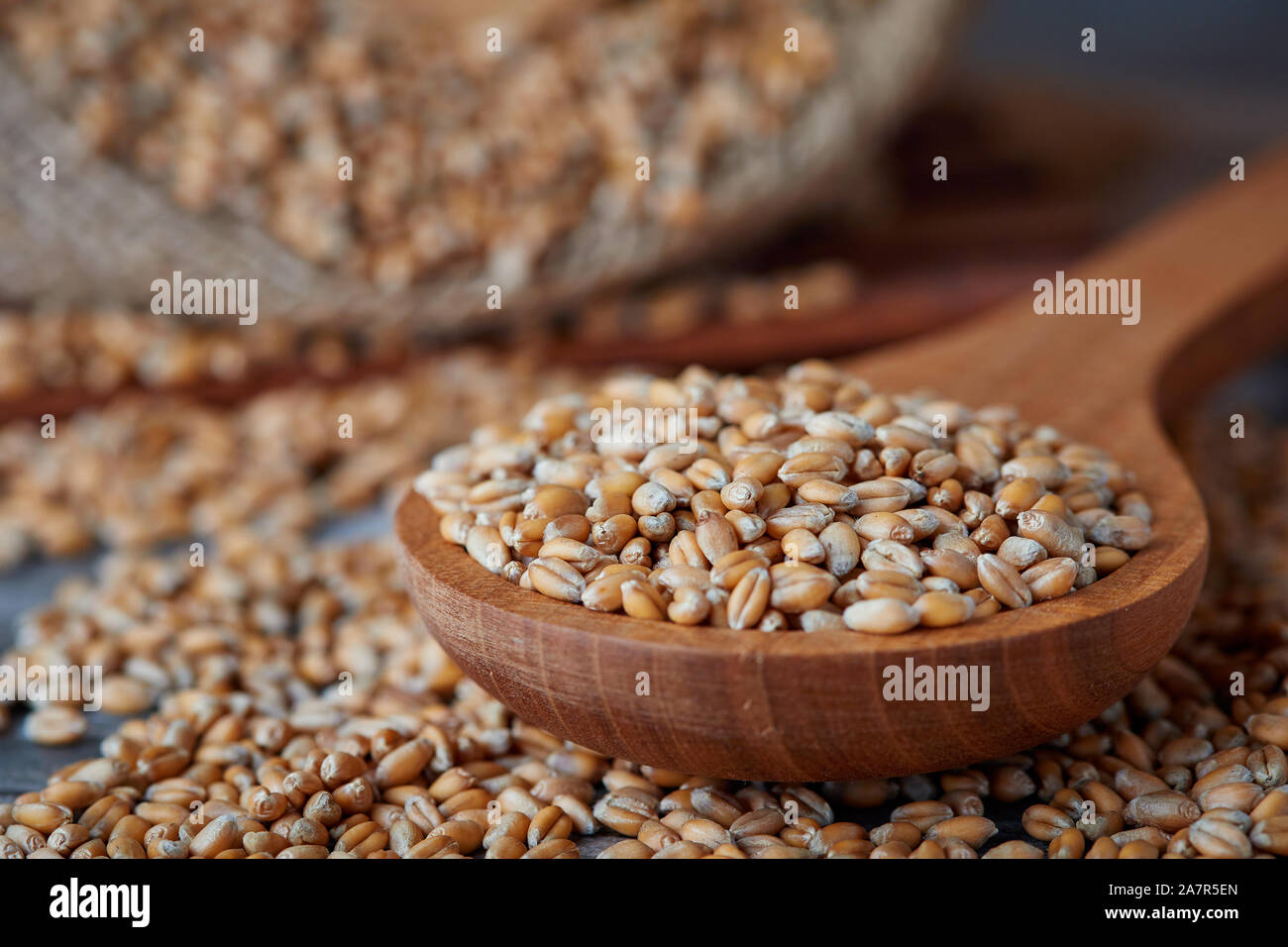 Raw wheat grain in wooden spoon on rustic background Stock Photo - Alamy