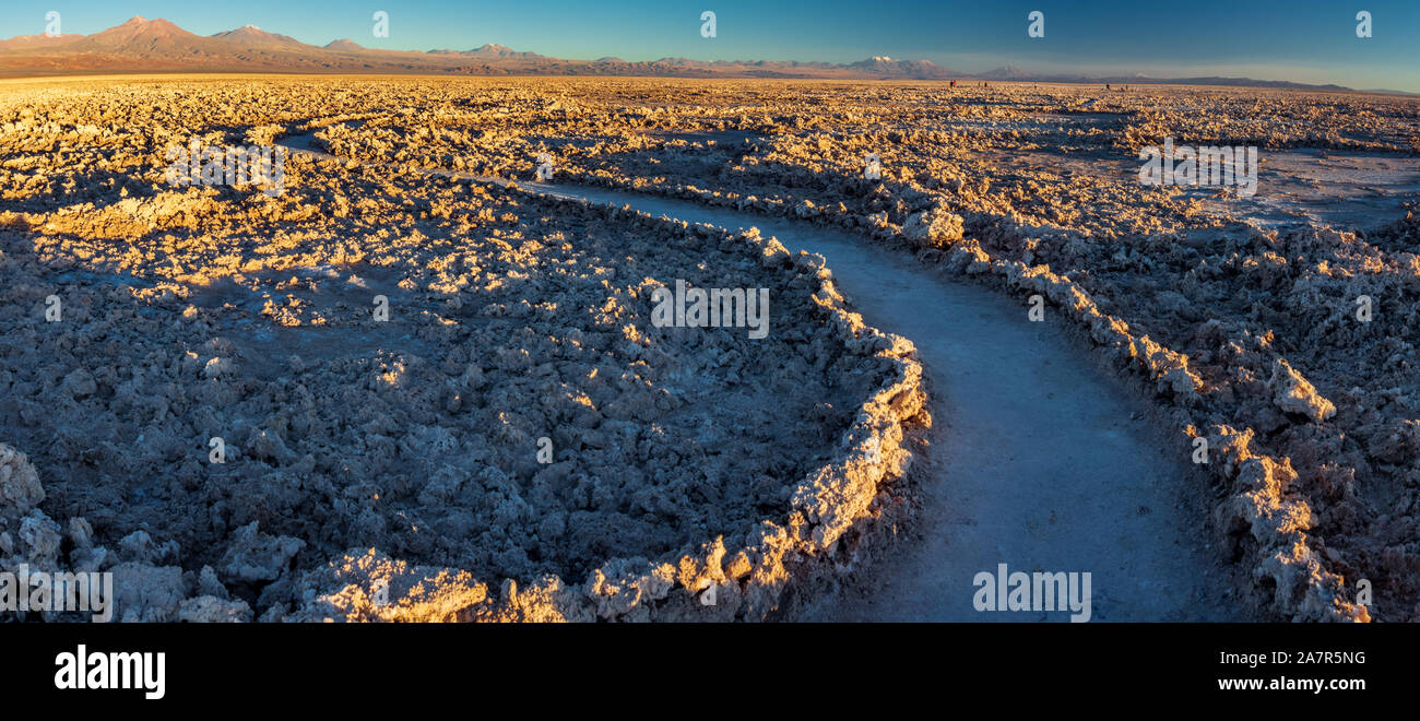 Track in the middle of Atacama salt pan Stock Photo - Alamy