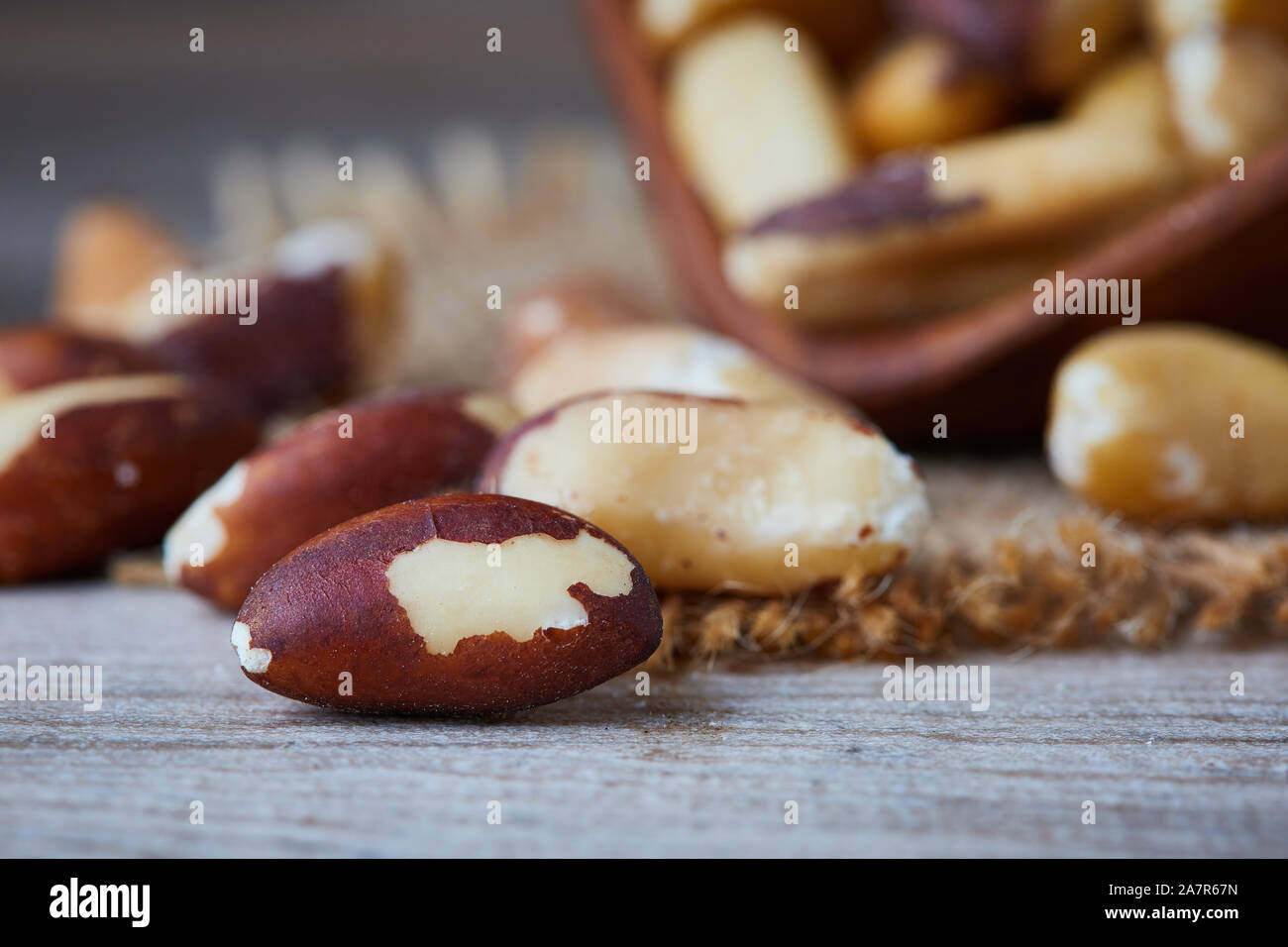 Brazil nut (Bertholletia excelsa) on rustic wooden background Stock ...