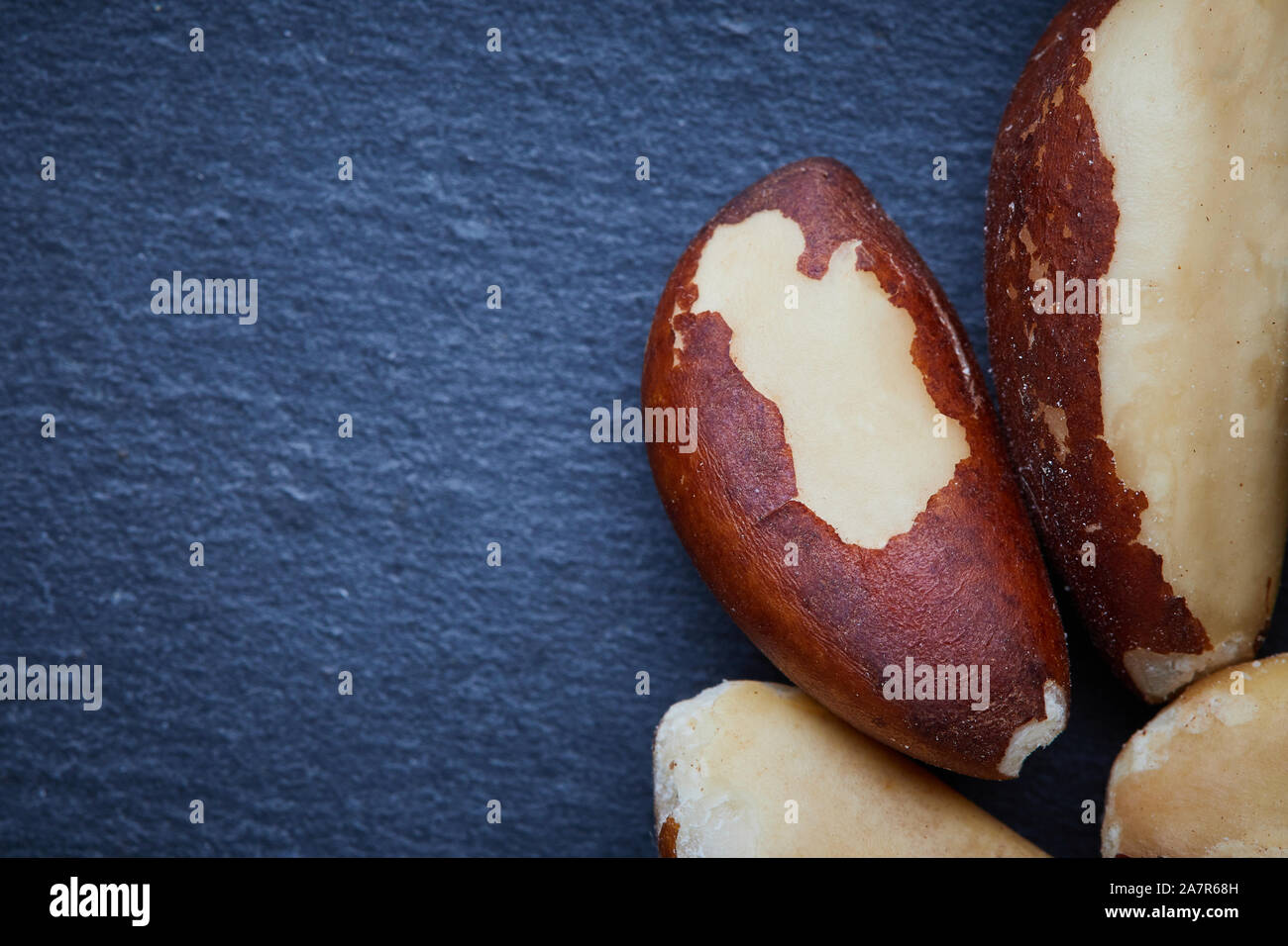 Bertholletia excelsa hi-res stock photography and images - Alamy