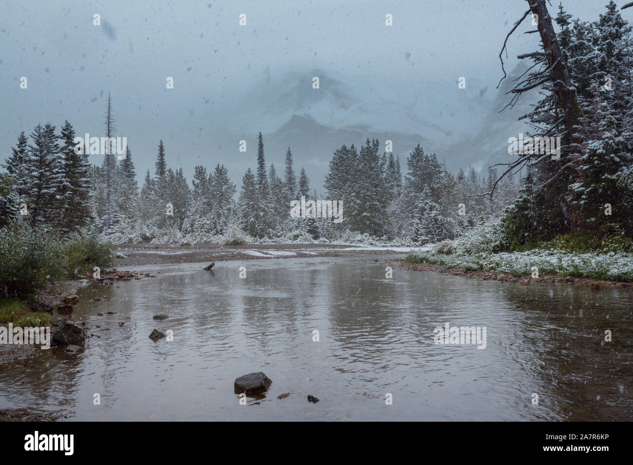 Early winter with first snow covering rocks and woods in the Glacier ...