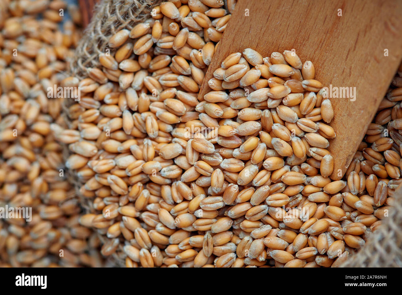 Raw wheat hi-res stock photography and images - Alamy