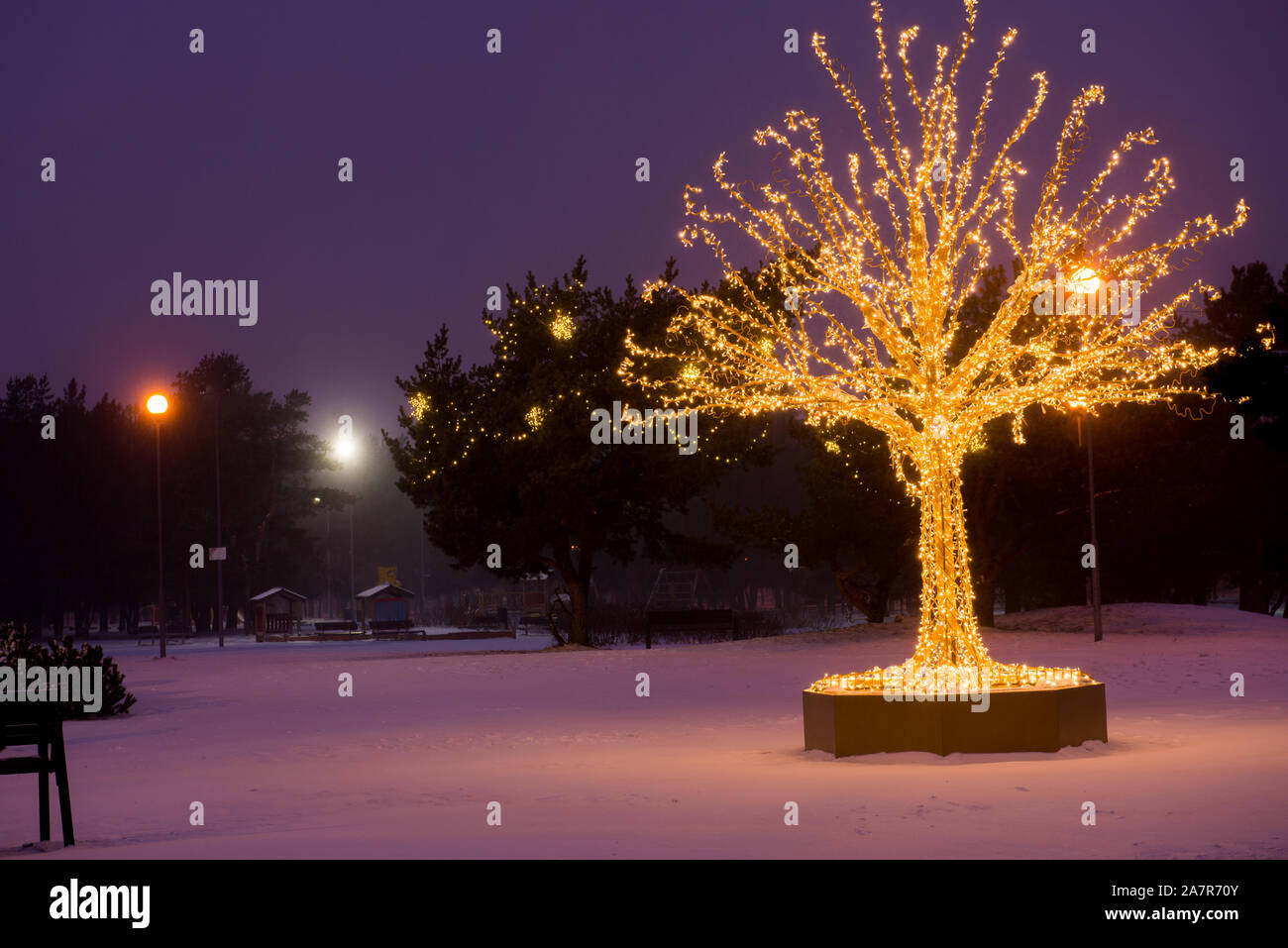 Gold lights Christmas Tree Stock Photo - Alamy