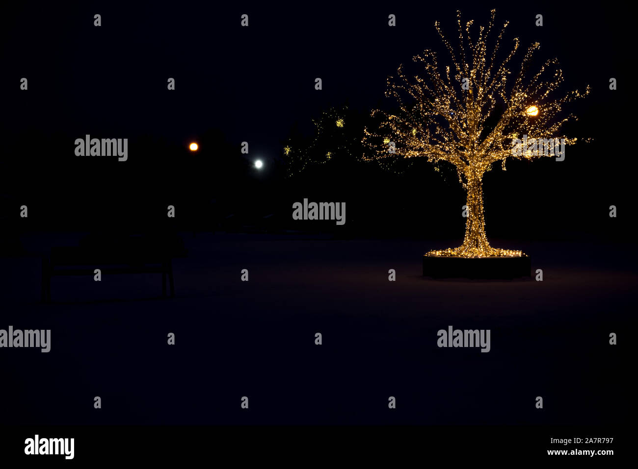 Gold lights Christmas Tree Stock Photo - Alamy