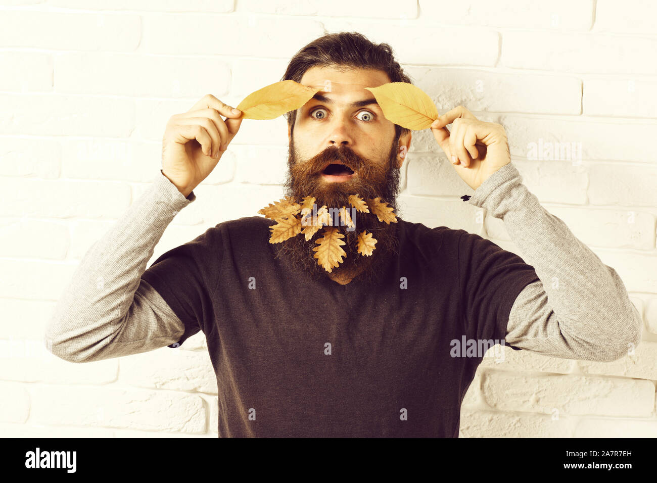 handsome bearded man with stylish mustache and autumn yellow leaves in ...