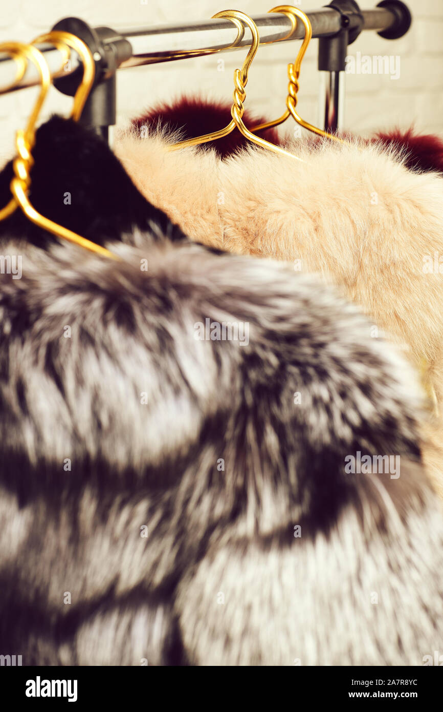 fashionable luxurious waist coats of fur hanging on rack on golden ...