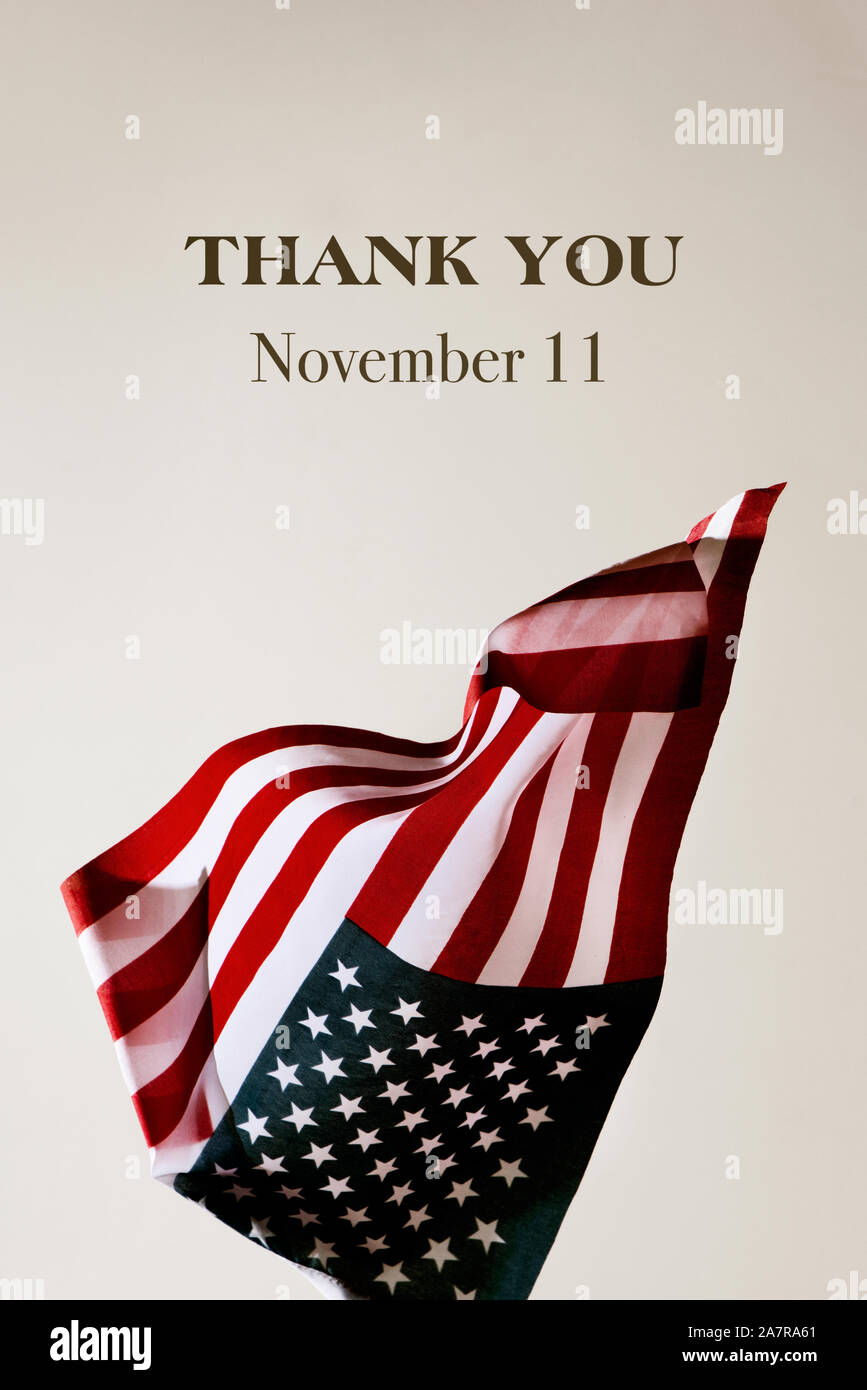 an american flag and the text thank you november 11 on an off-white ...