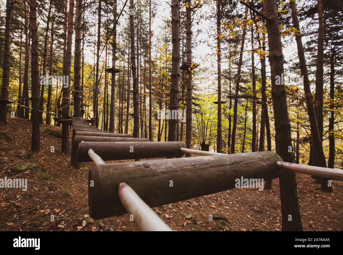 Adventure park with wooden obstacles, built in the wood of Liguria in ...
