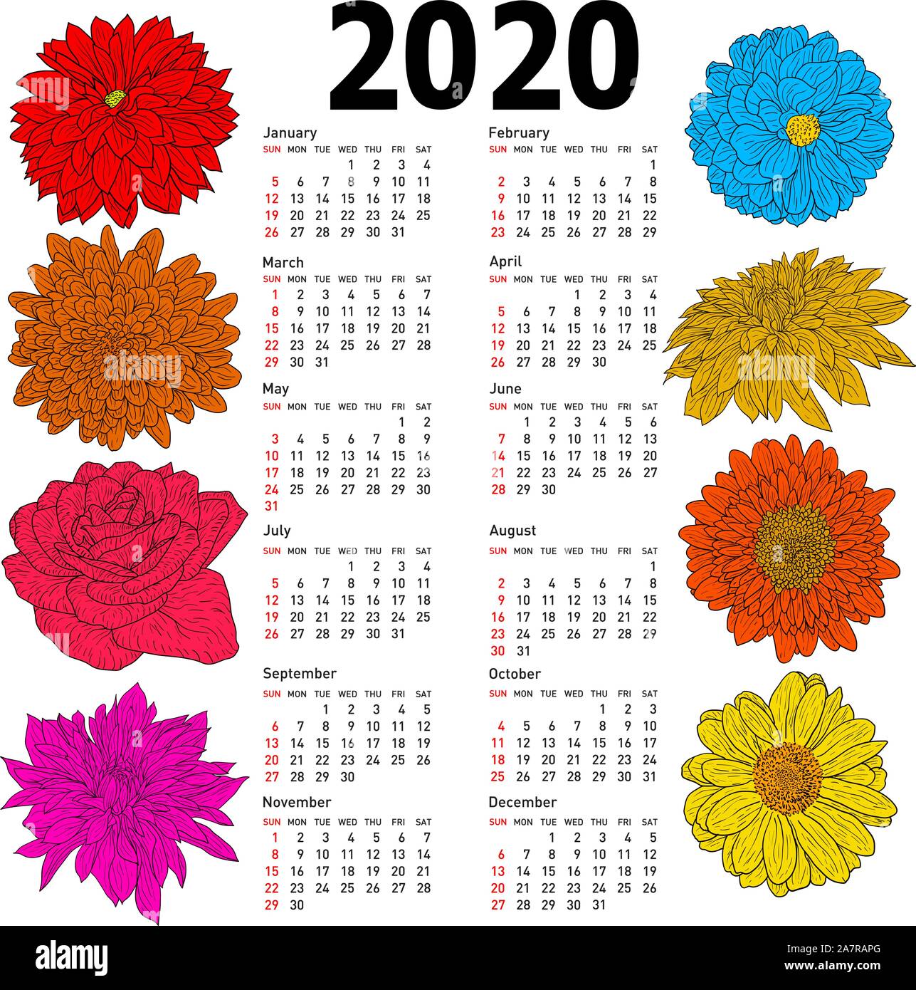 Chrysanthemum flower for calender Stock Vector Images - Alamy