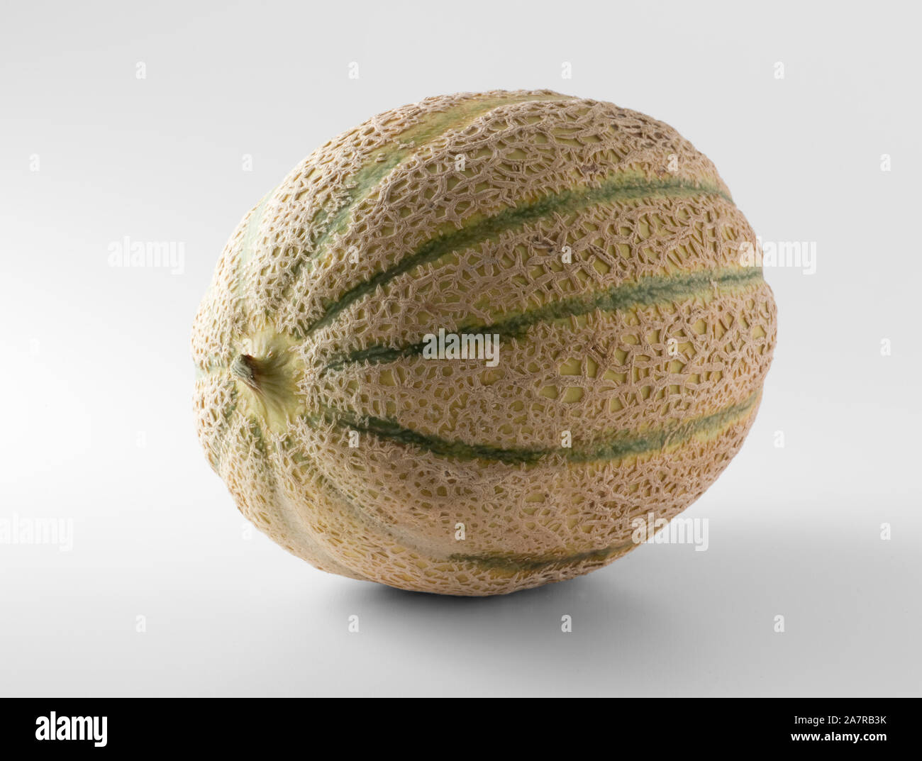 Netted melon isolated on white background Stock Photo - Alamy