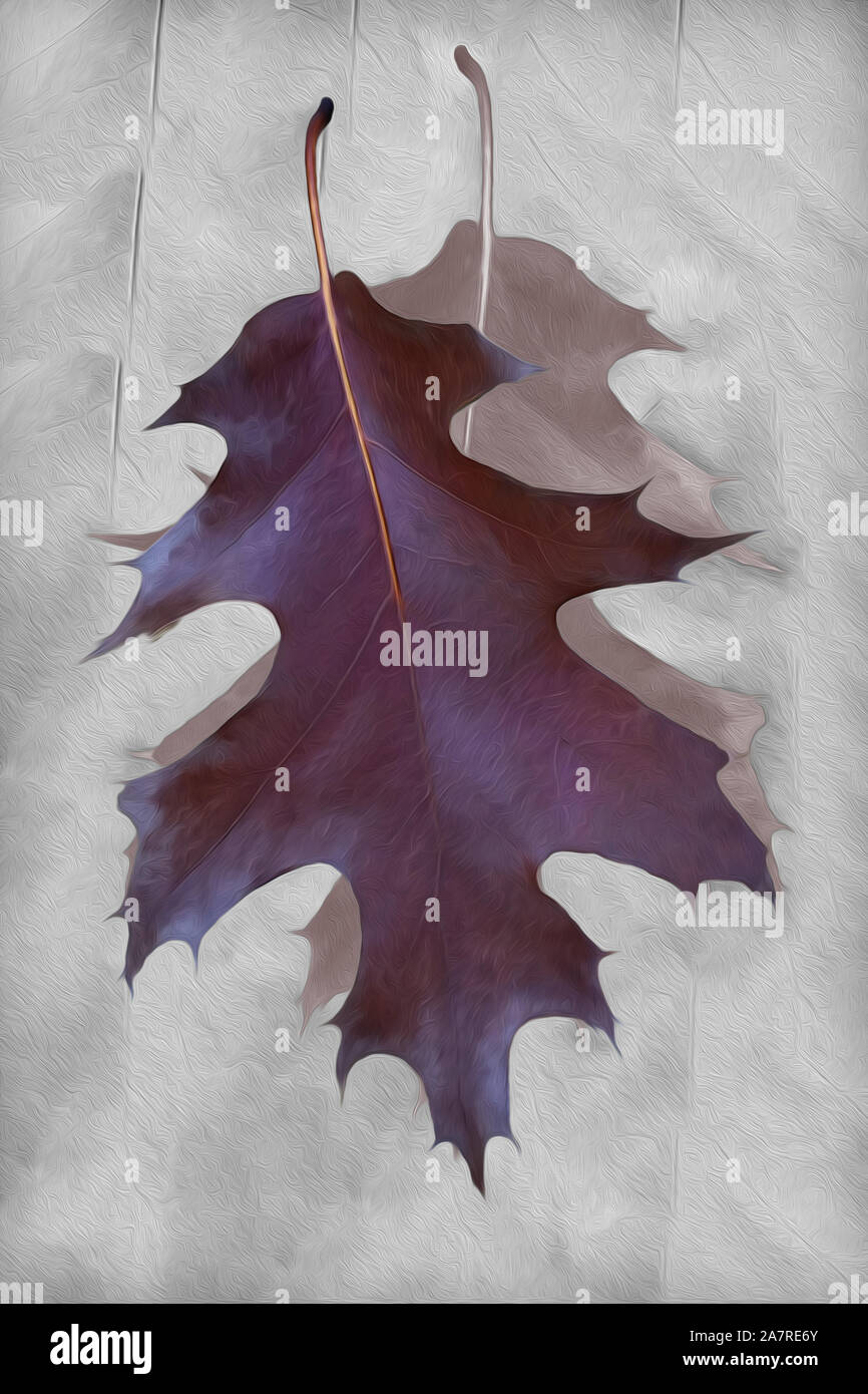 The dance of rusty autumn leaves Stock Photo - Alamy