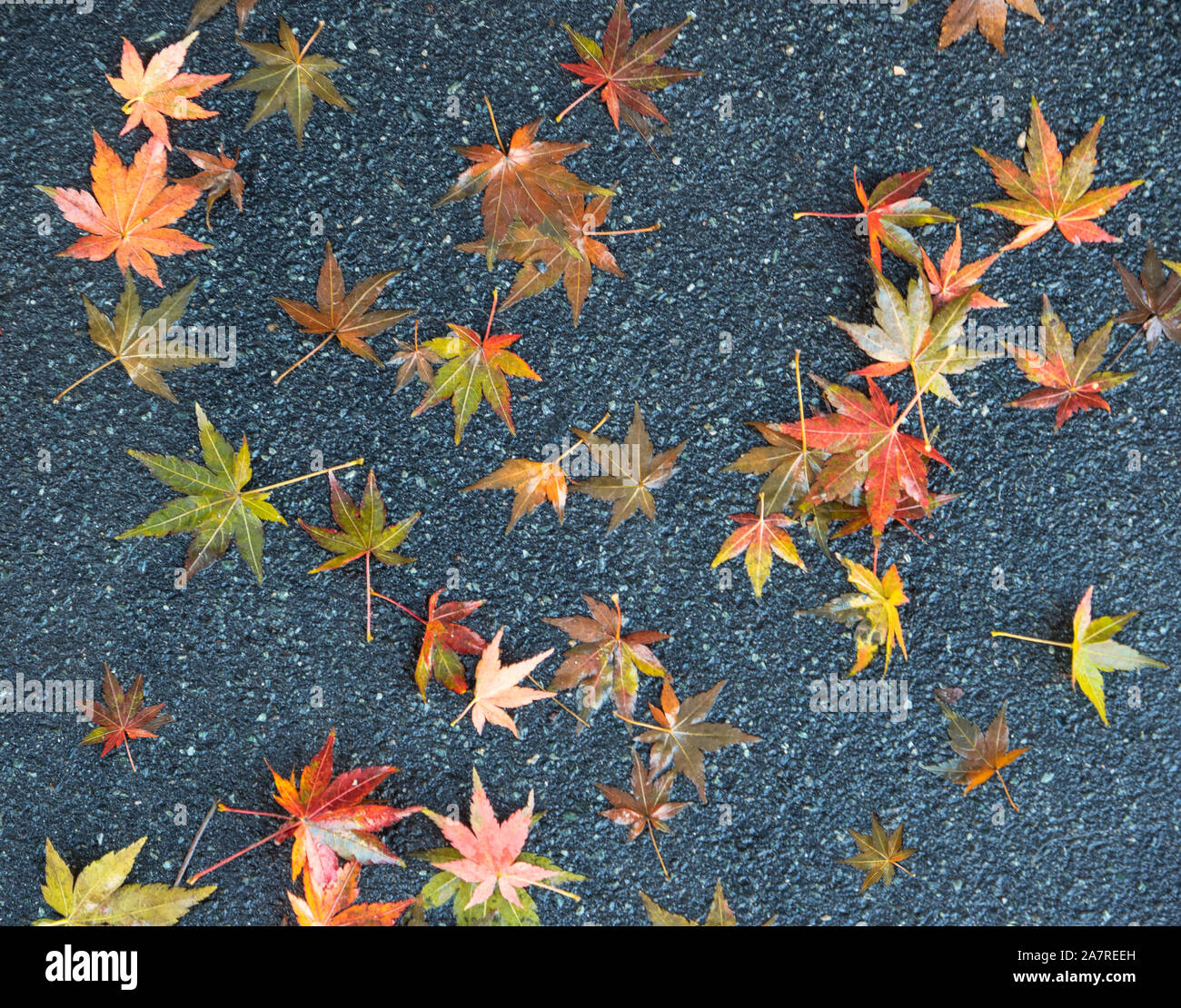 Vibrant sidewalk scene hi-res stock photography and images - Alamy