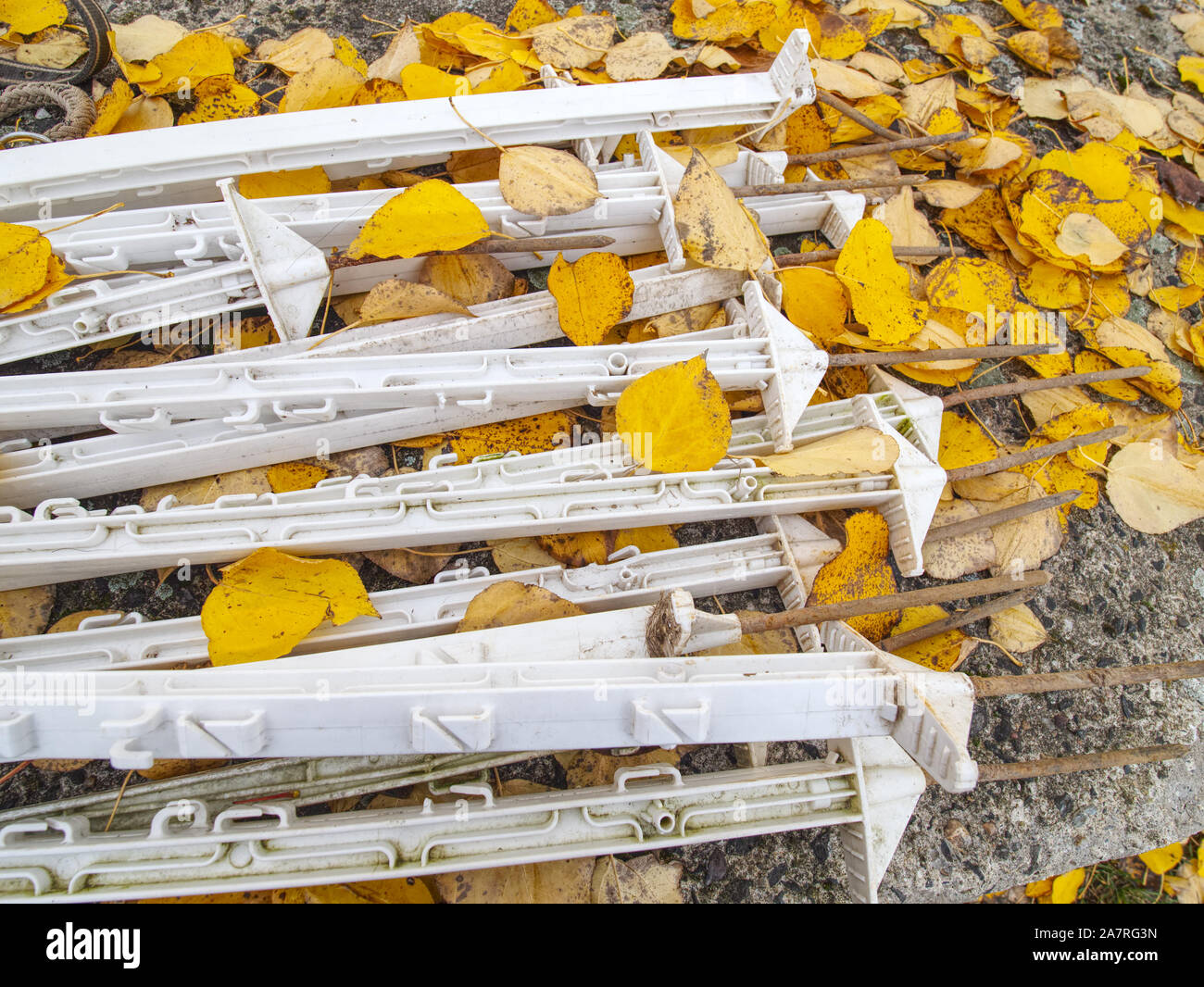 Plastic poles ready for building electric fence around paddock. Poles ...