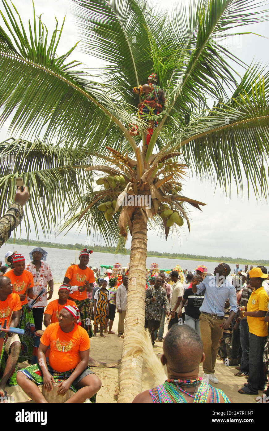 A young man dancing on top of a coconut tree during the Annual Black ...