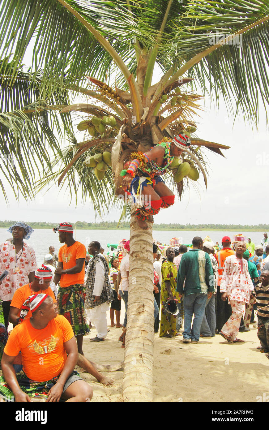 A young man dancing on top of a coconut tree during the Annual Black ...