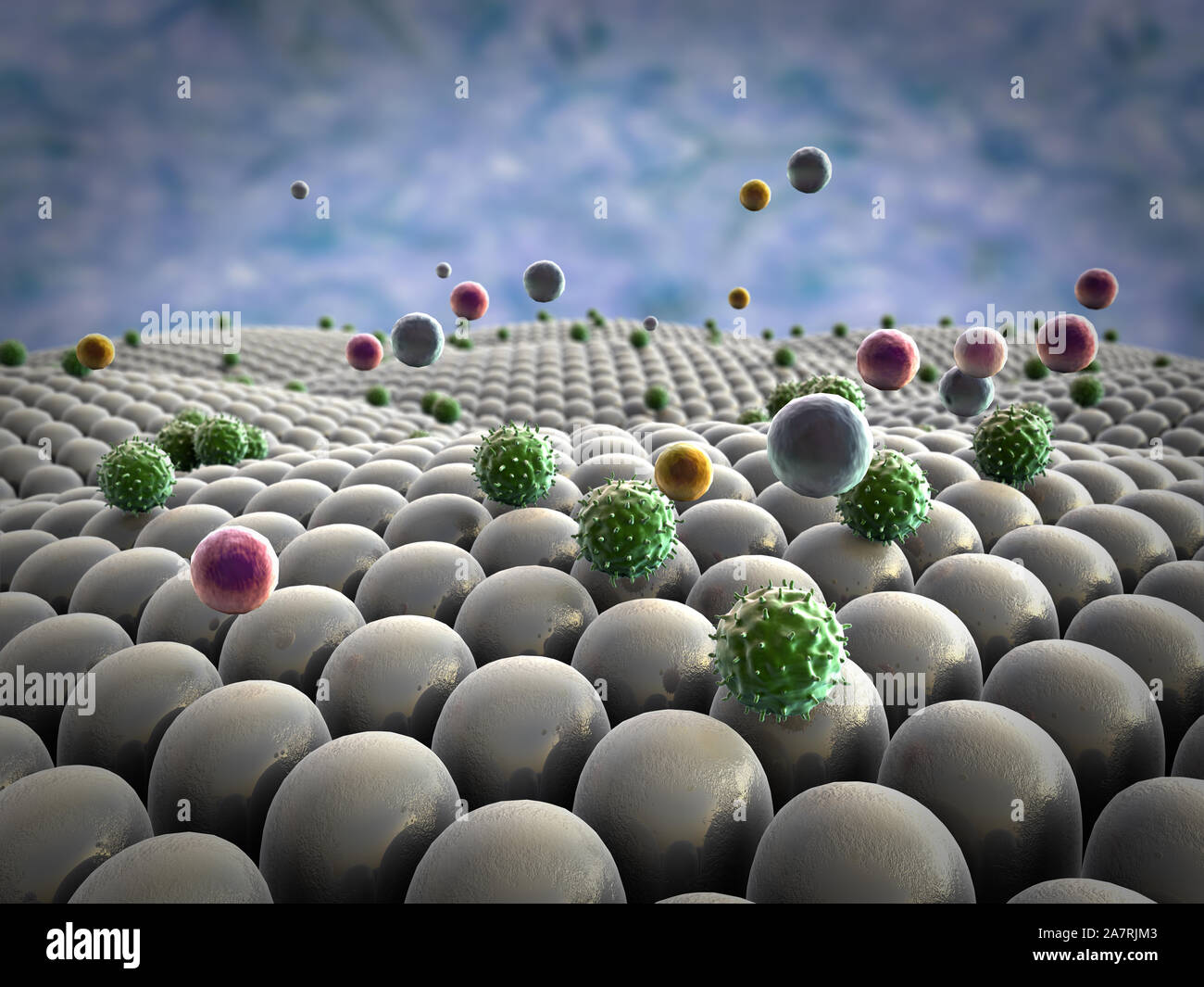 field of cells, viruses attack the cells, action of the human immune ...