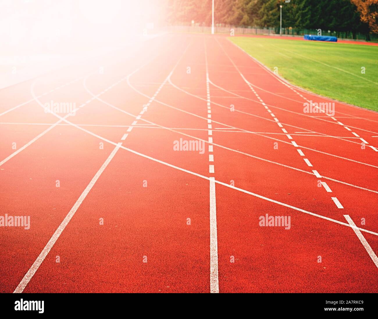 Empty running track for the background with white lines Stock Photo - Alamy