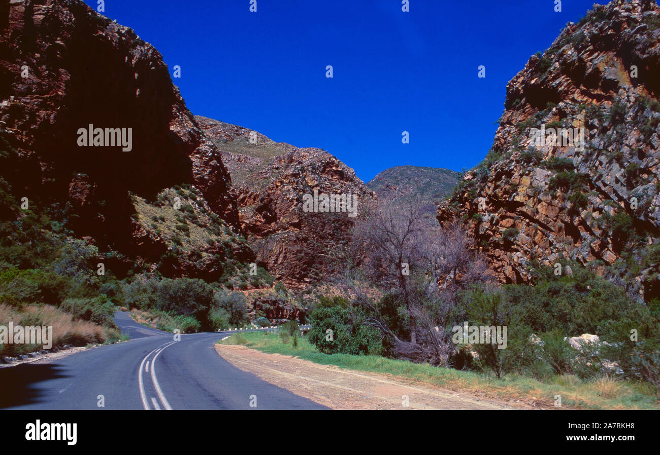 Little Karoo Vegetation High Resolution Stock Photography and Images ...