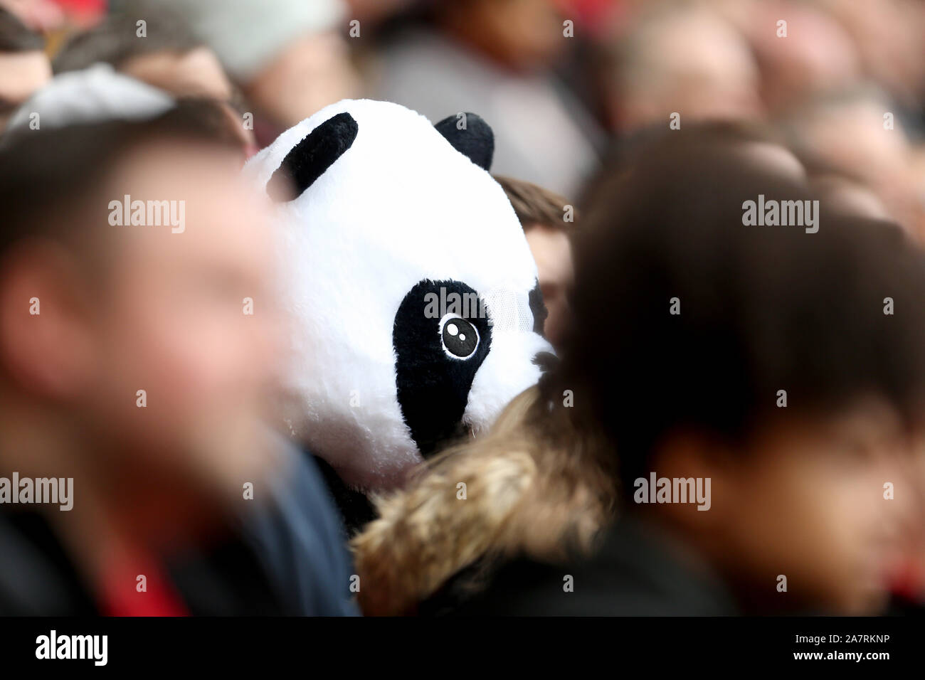 Panda fan hi-res stock photography and images - Alamy