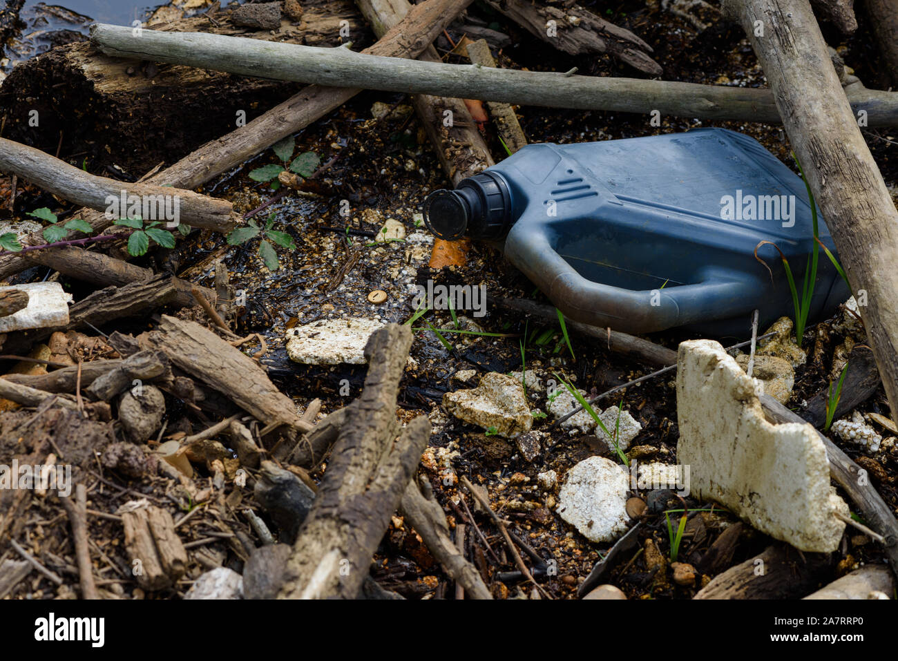 Styrofoam and plastic pollution garbage in water on beach Stock Photo ...
