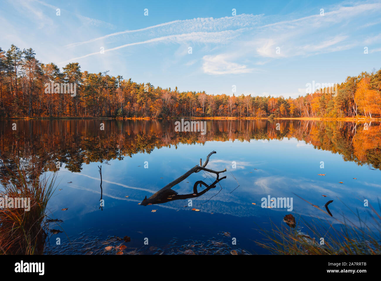 Autumn landscape with forest lake at sunny calm fall morning vibrant ...