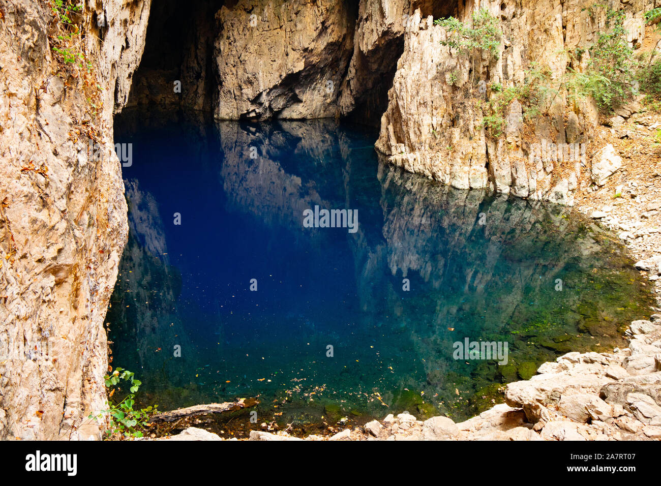 Sinoia hi-res stock photography and images - Alamy