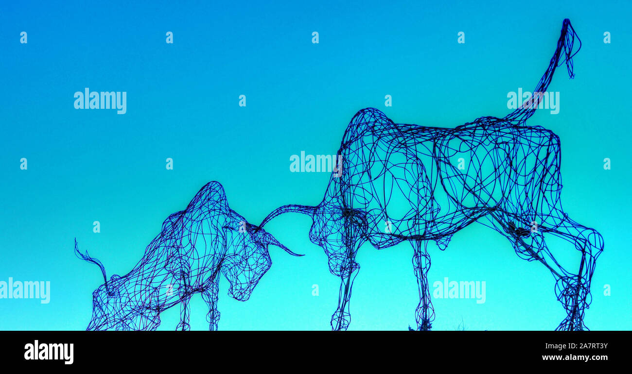 Stiere hi-res stock photography and images - Alamy