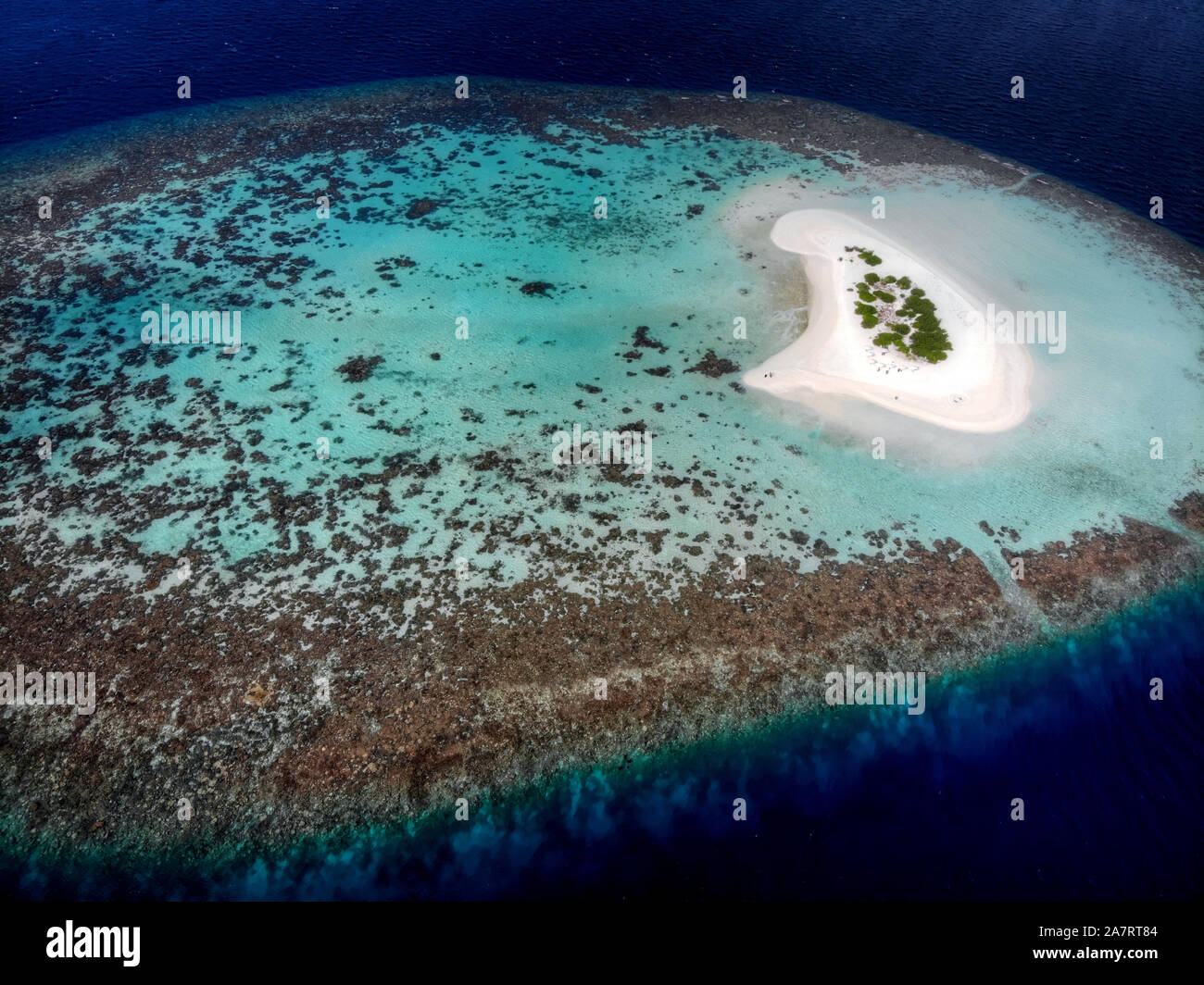 Riff malediven hi-res stock photography and images - Alamy
