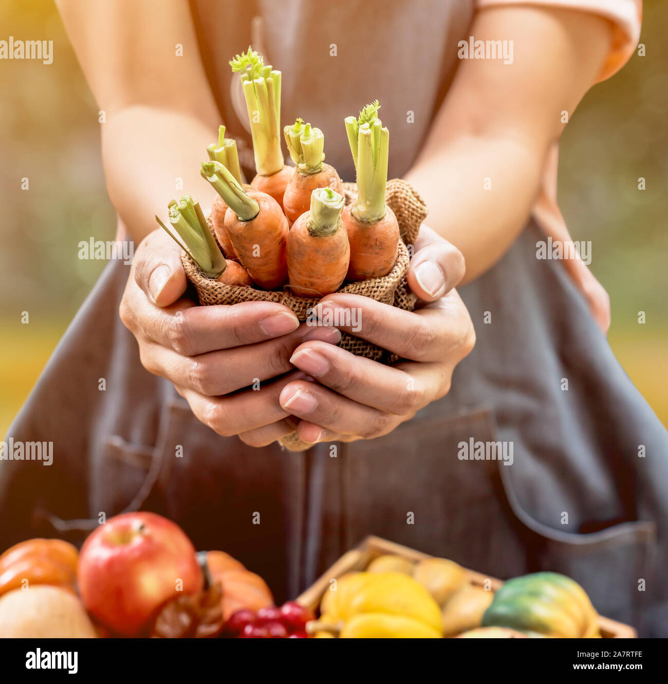 Farmer with fresh fruit on hands. Fall harvest cornucopia. Autumn ...