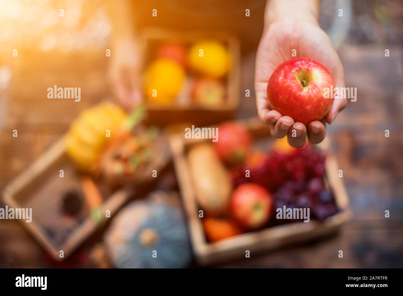 Farmer with fresh fruit on hands. Fall harvest cornucopia. Autumn ...