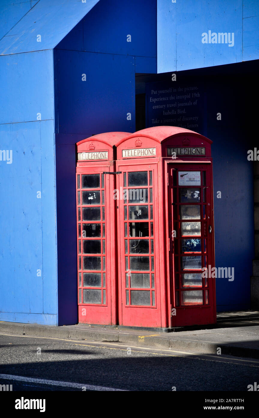 Fat sheep hi-res stock photography and images - Alamy