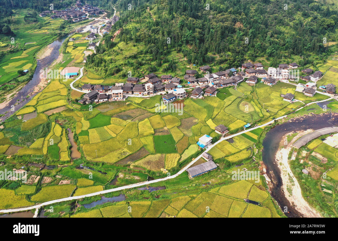 China guizhou hybrid hi-res stock photography and images - Alamy
