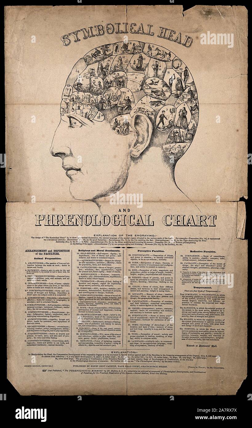 Phrenological memory hi-res stock photography and images - Alamy