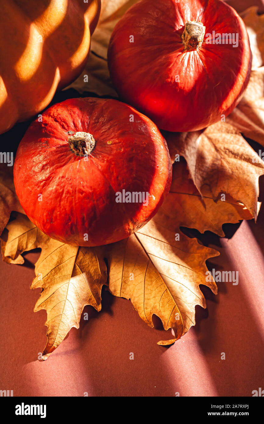 Autumn composition of pumpkins and yellow leaves. Stock photo of ...