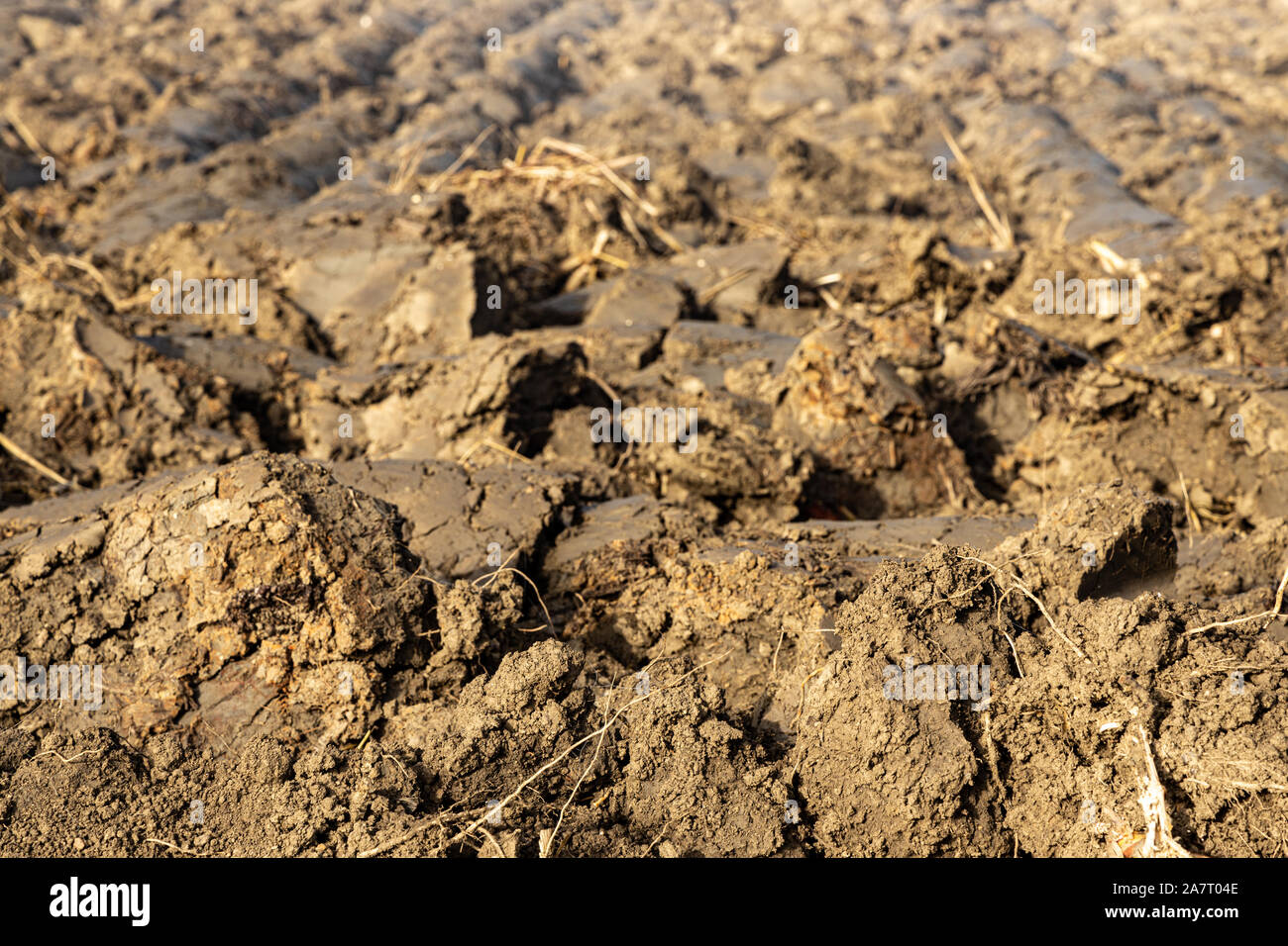 details of a fresh plowed soil , frame filled Stock Photo - Alamy