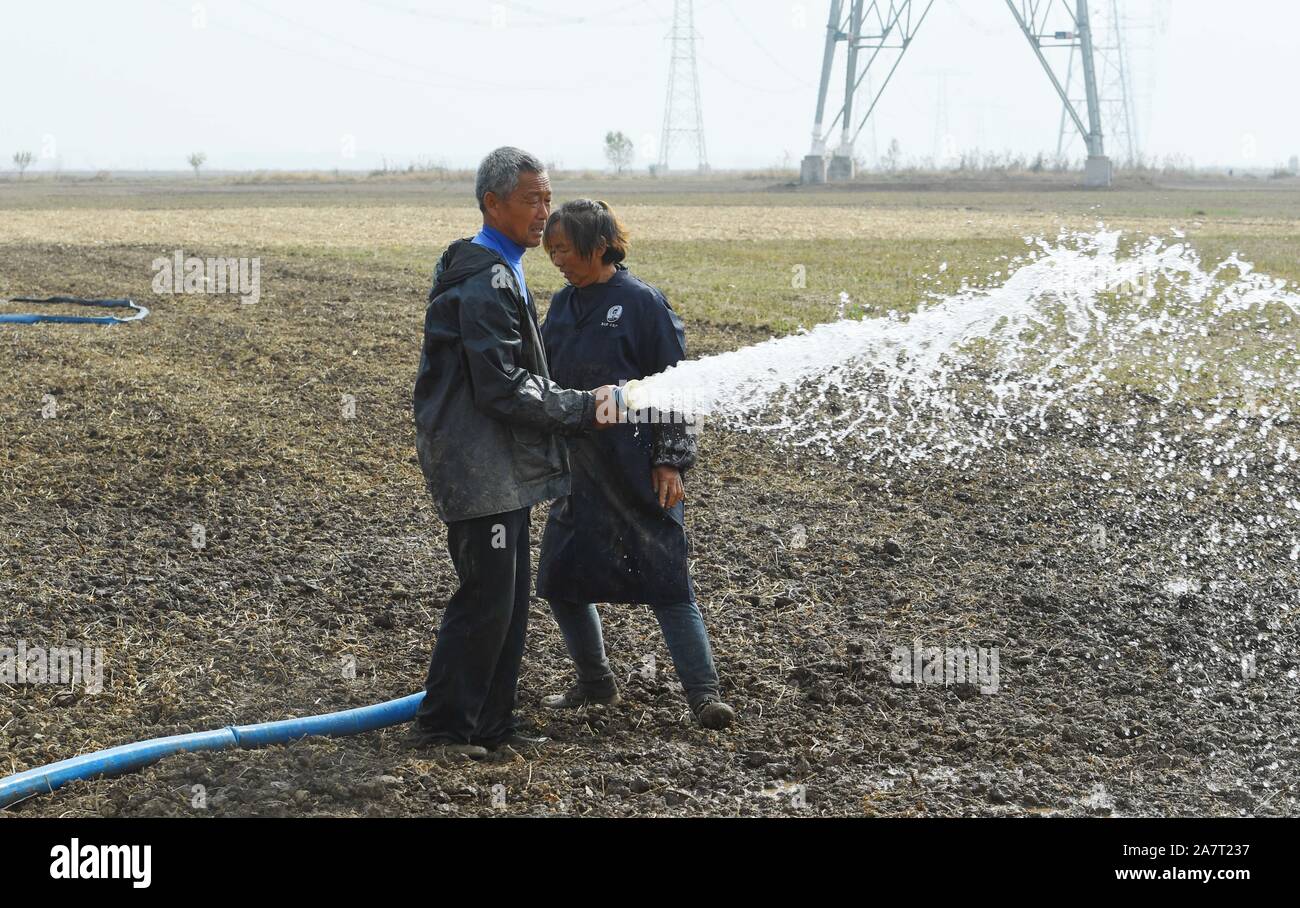 A Chinese farmer hoses water to irrigate a wheat field during a severe ...