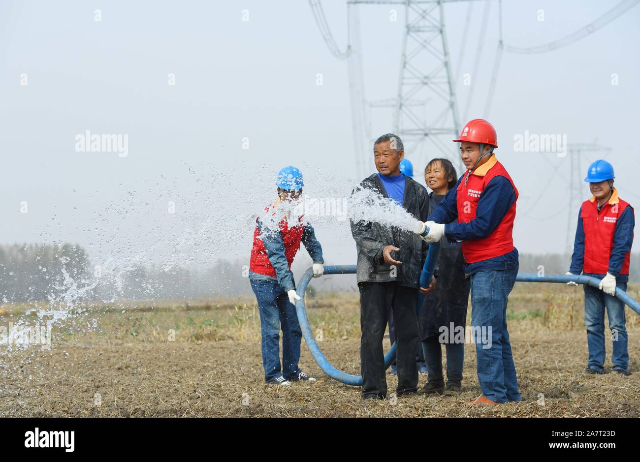 Chinese farmer and worekrs hose water to irrigate a wheat field during ...