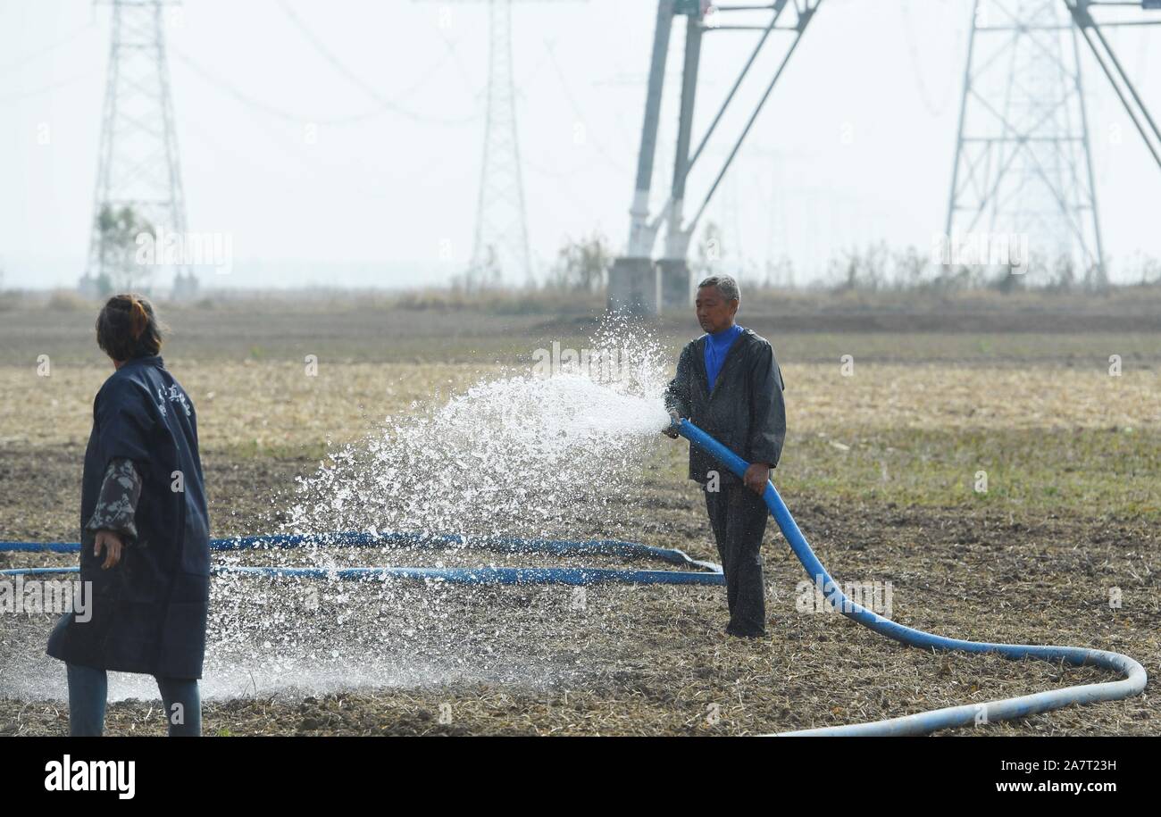 A Chinese farmer hoses water to irrigate a wheat field during a severe ...
