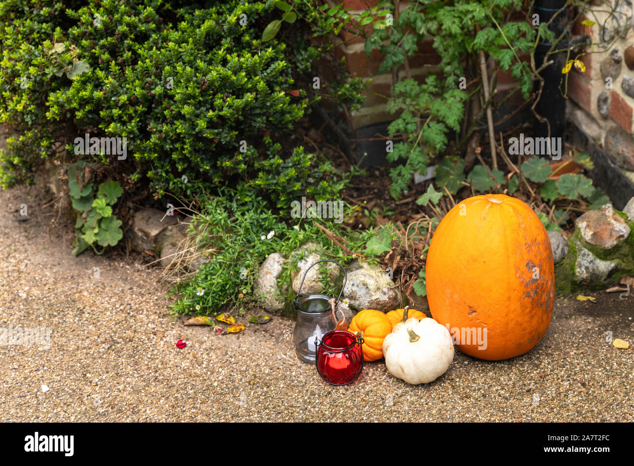 Full moon pumpkins hi-res stock photography and images - Alamy